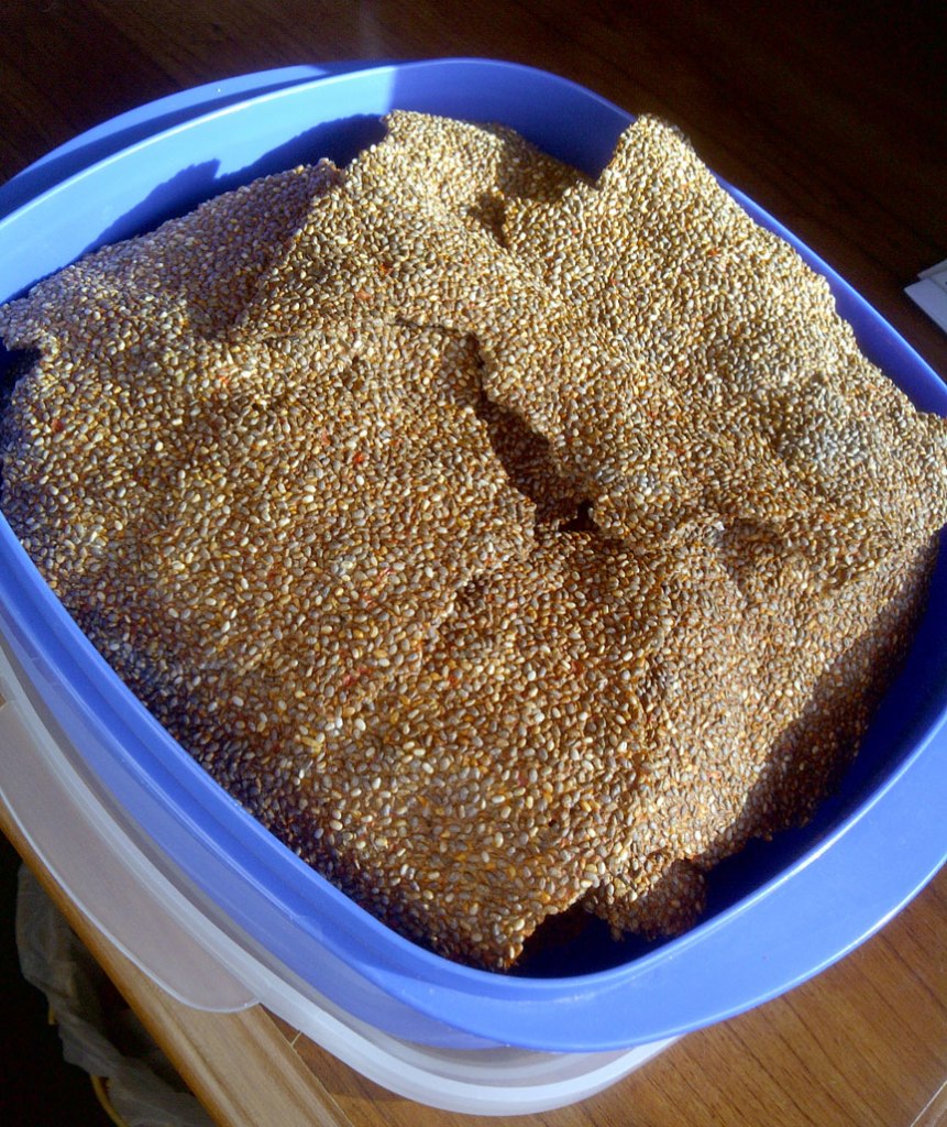 Garlic Red Pepper Chia Crackers – Kelli's Vegan Kitchen